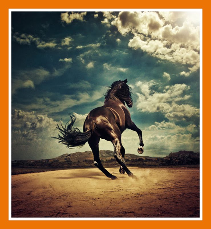 Kynodesme Untied: Beauty:8