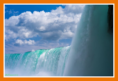 Kynodesme Untied: Beauty:9