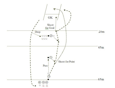 Hurling Drills: Shooting Drill 1