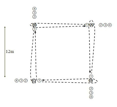 Hurling Drills: Physical Drill 1