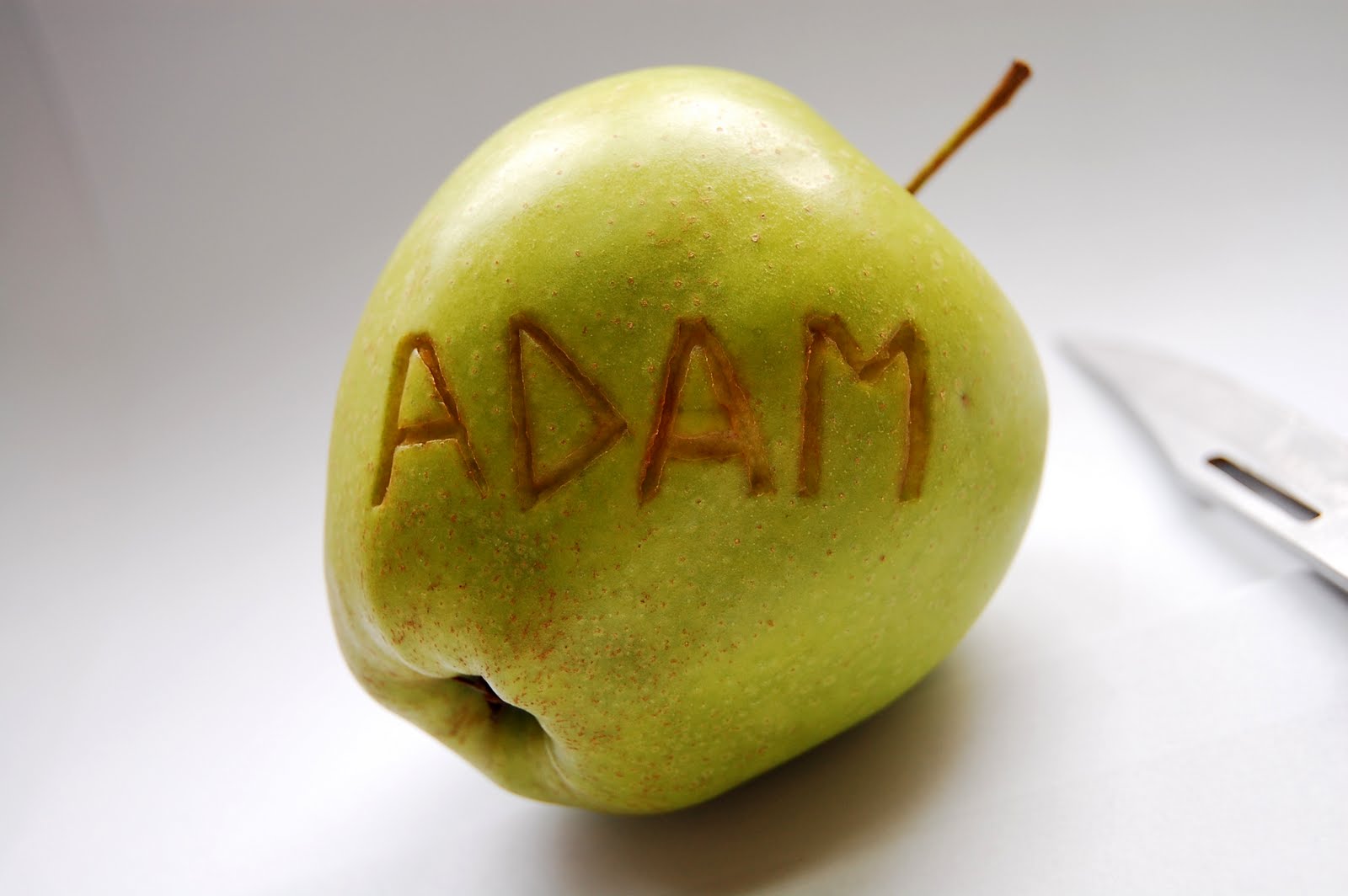 questmark: Adam's apple