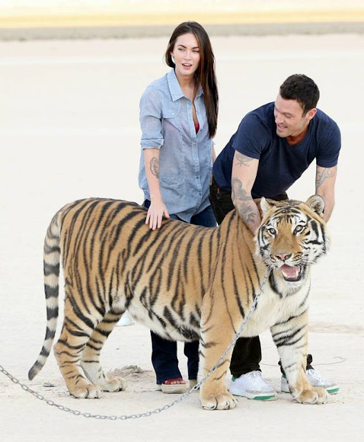 Megan Fox at Big Cat Encounters Ranch in Pahrump |Peak Blogger
