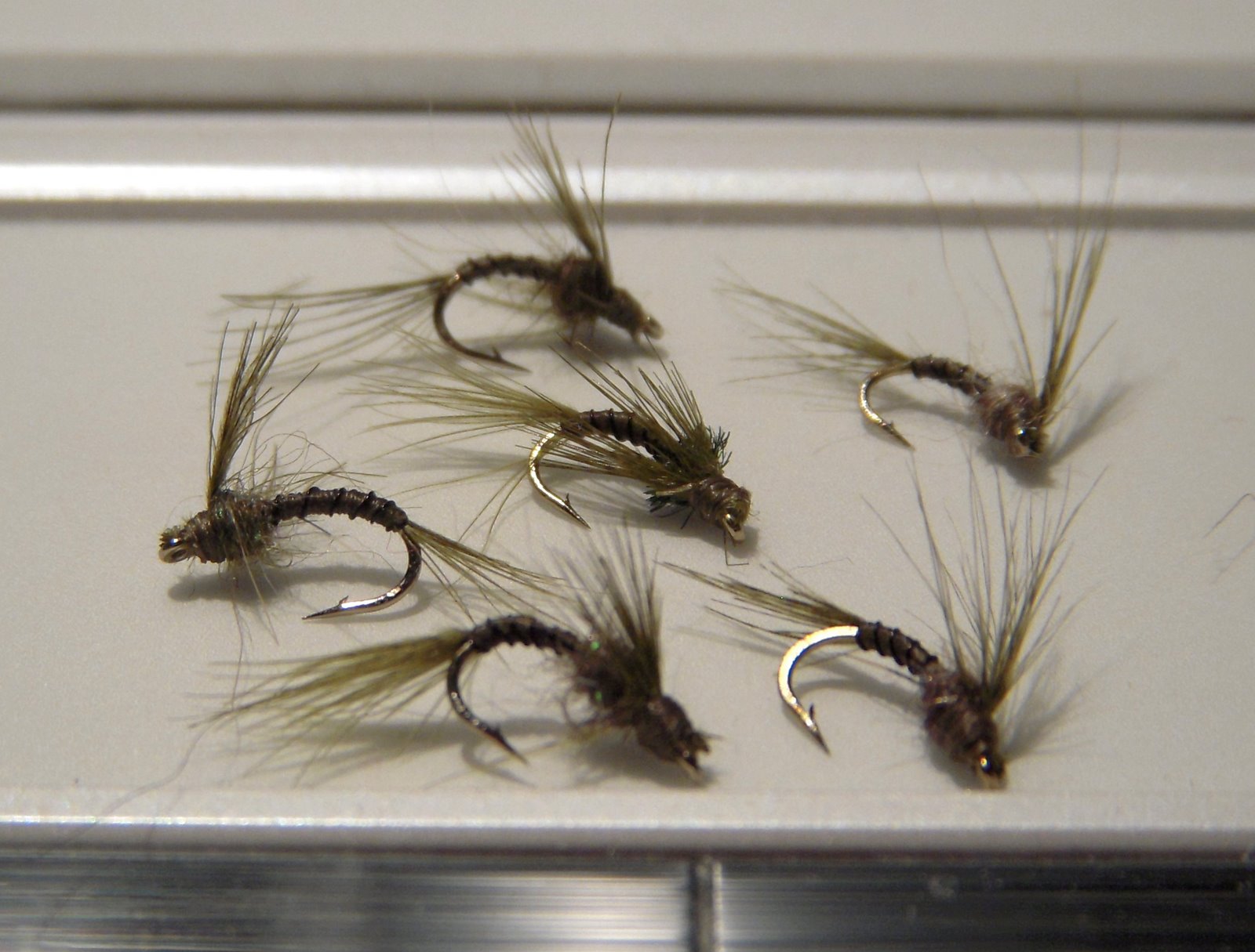 Catching My Fair Share: CarlP's BWO Nymph - FOTD