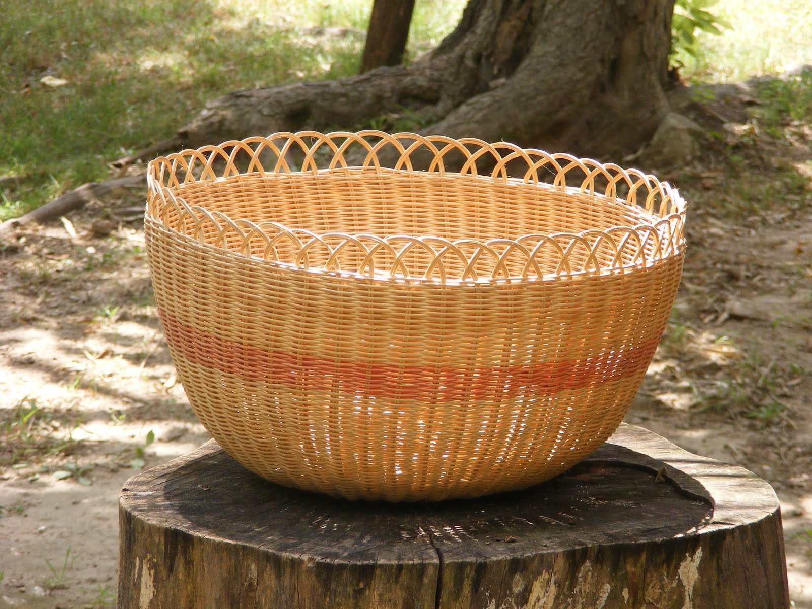 MickyF's adventures: Cherokee Country