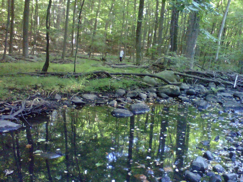 Harriman Hiker: Harriman State Park and Beyond: Horse Stable Mountain