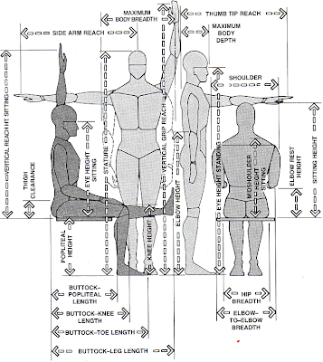 Designers understand and use anthropometrics when designing a space ...