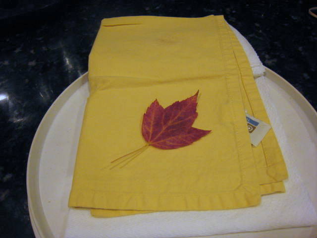 Butterfly Garden Creations: Tutorial: How to Press Fall Leaves Using ...