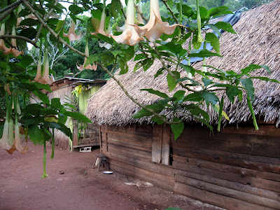 Mata'irea: May 12, 2008 - Anelghowhat Village, Aneityum/Anatom Island ...
