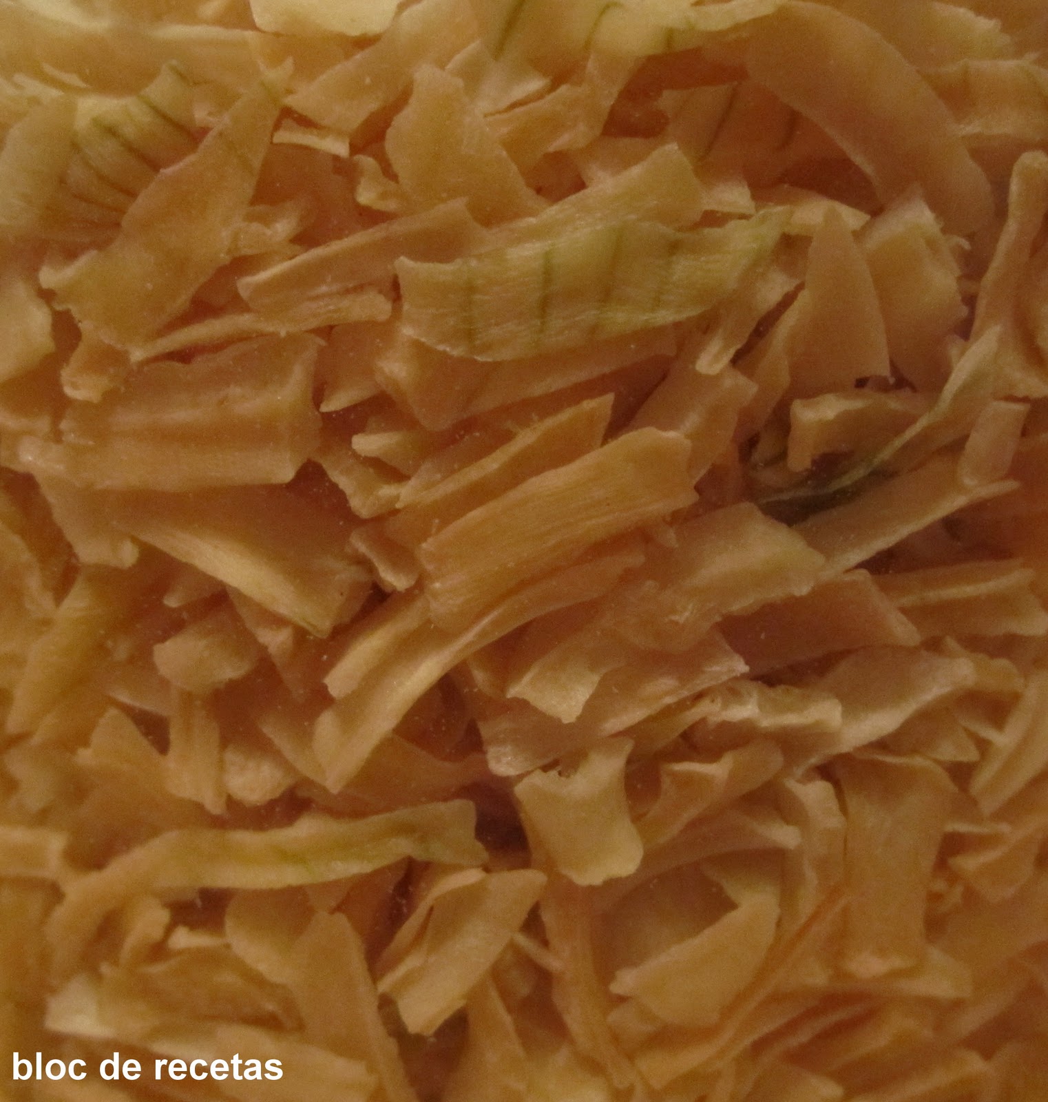 Bloc de recetas: Cebolla frita deshidratada