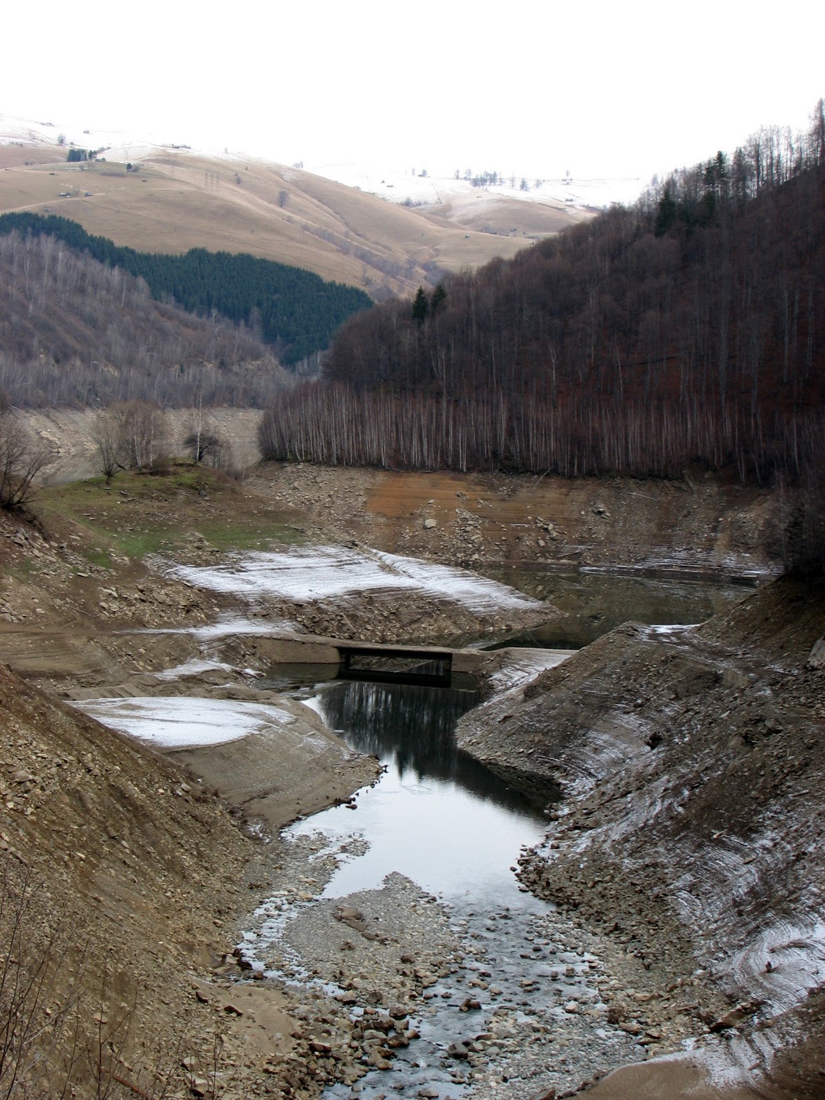 remus BlogSchi: NOUTATI DE LA SUREANU!!!