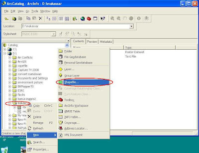 Make a shapefile using arccatalog | My Computer Dummies