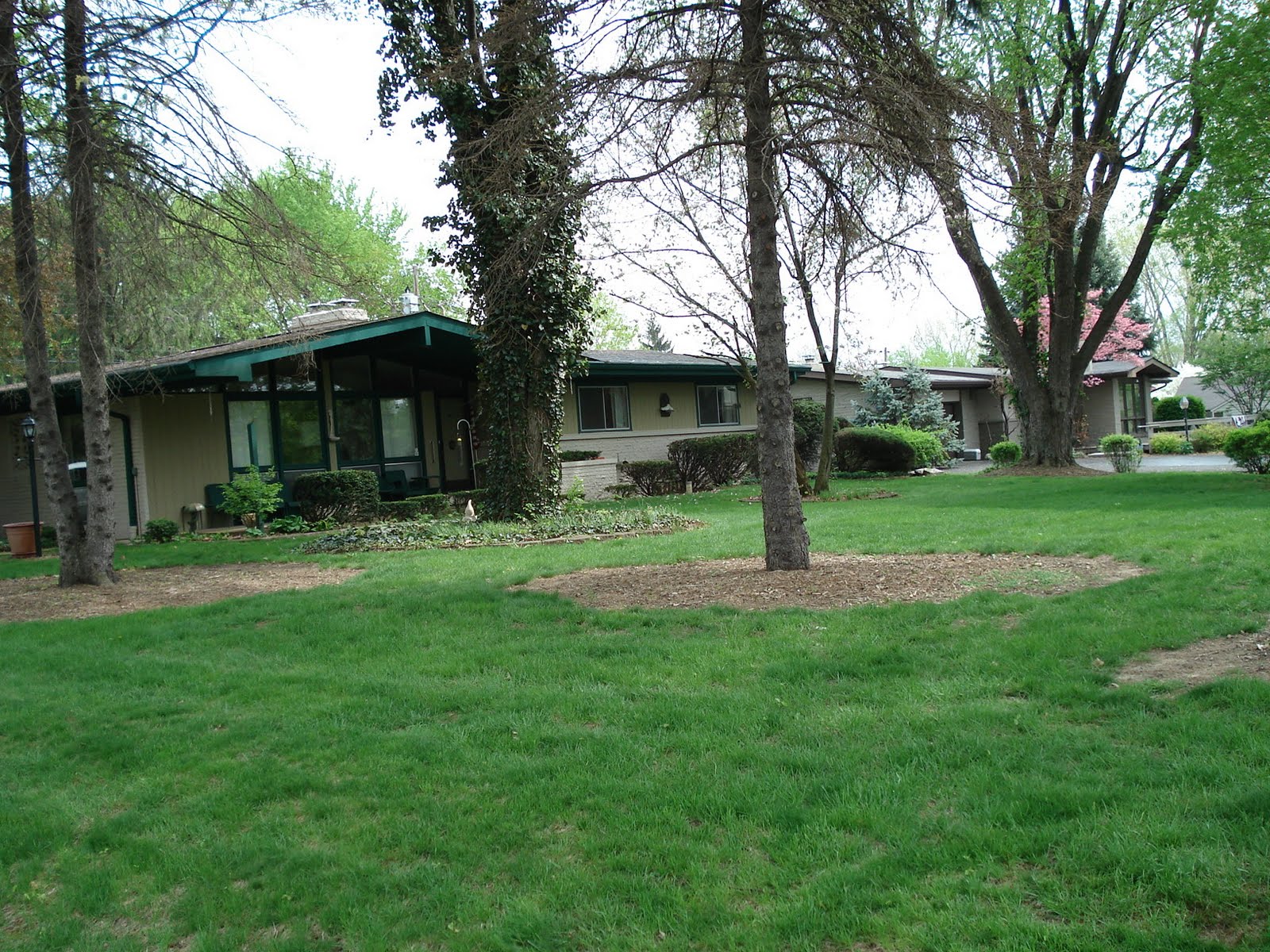 INArchitecture: Avriel Shull's Thornhurst MCM Addition on the National ...