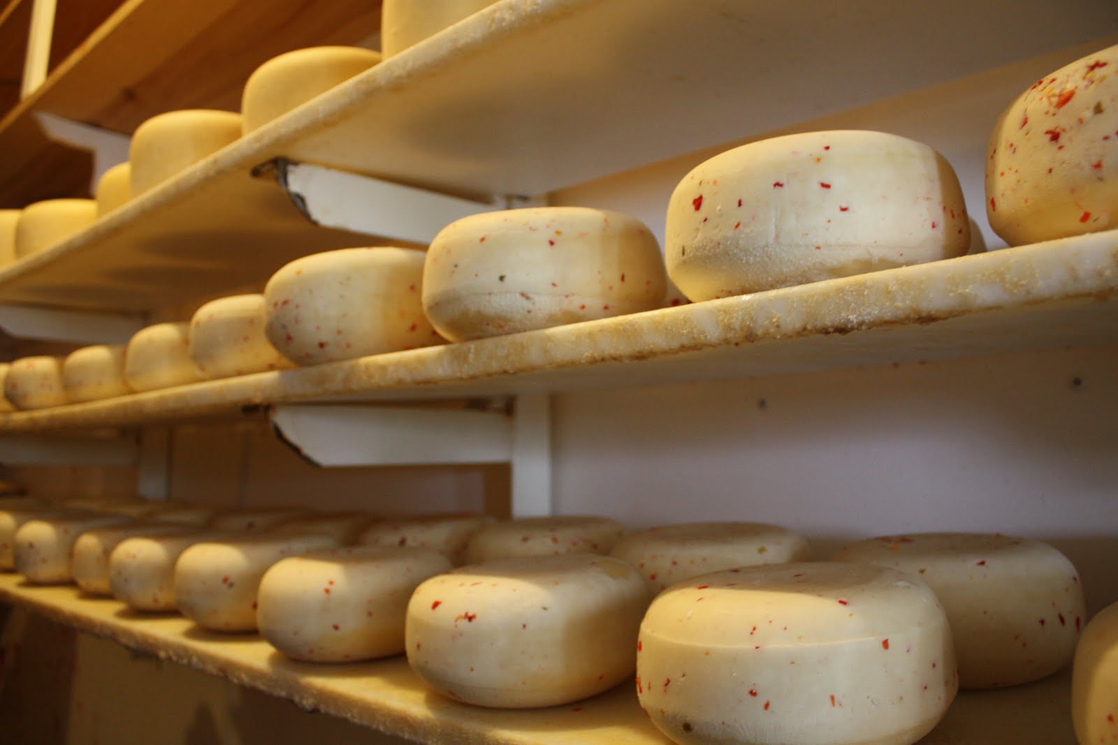 Seattle Tall Poppy: Farm Tour: Pleasant Valley Dairy and the Spring Cheeses