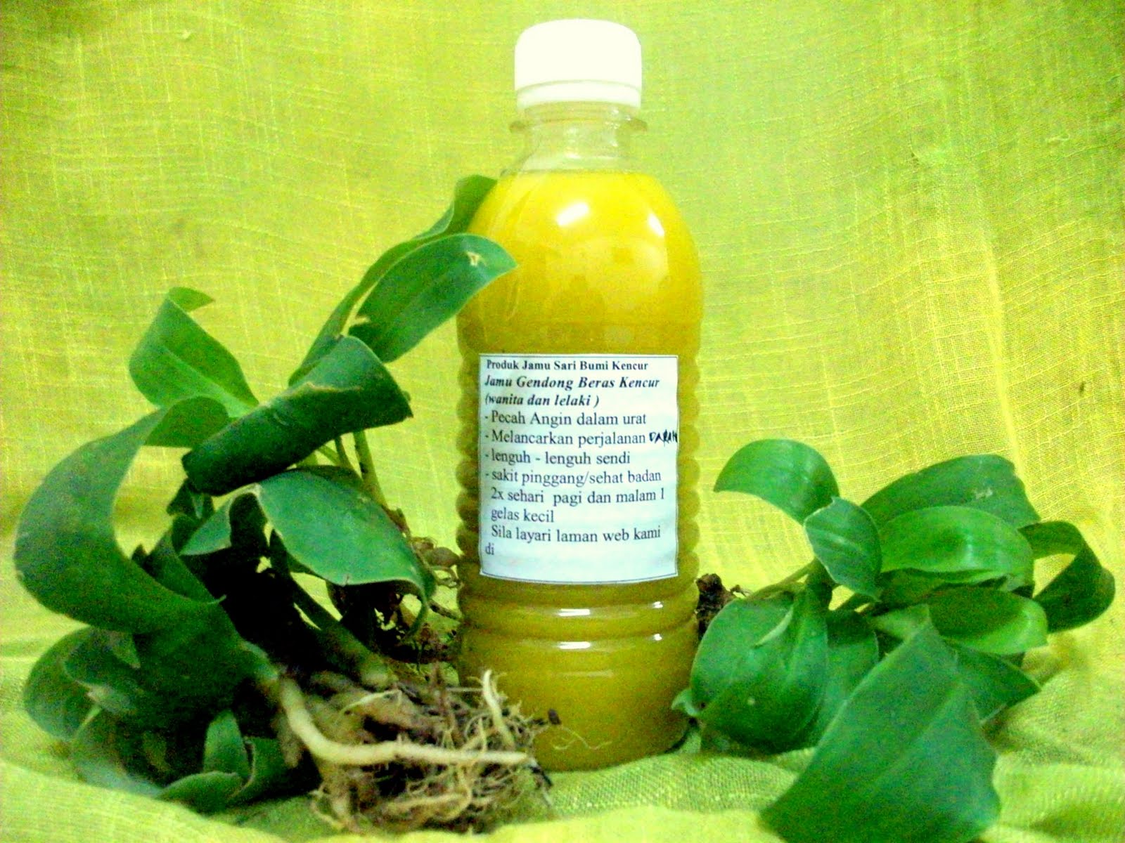 Culture of Mojokerto Regency: JAMU