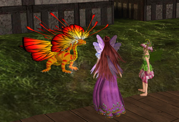 Isle of Arran ~ ~: A New Fae Dragon