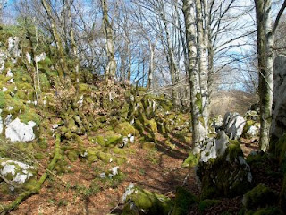 Basozaina - El guardabosques: Basoa - El bosque