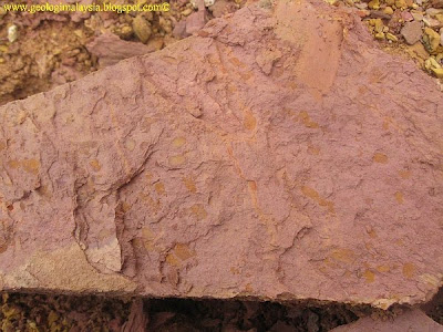 Blog Geologi Malaysia: Singkapan batuan di Bandar Gua Musang, Kelantan