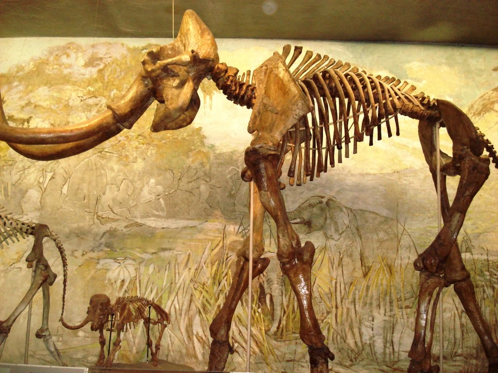 Road Trip across America: Day 11 Lincoln, NE....A good life