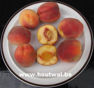 Inheems- en uitheems fruit: Vers geplukte perzik en nectarine smaken ...