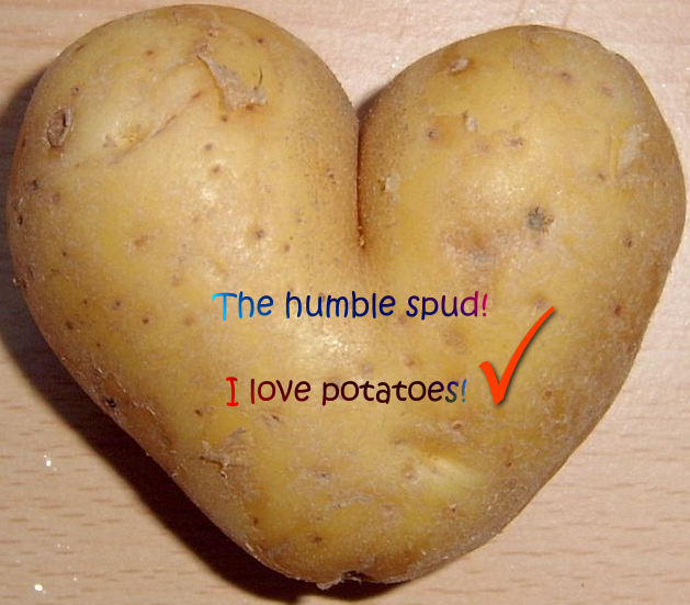 Werner's Cairns blog: THE UBIQUITOUS SPUD.