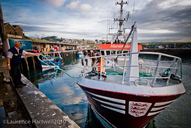Through the Gaps! - Newlyn Fishing News: Monday's market - as ever, top ...
