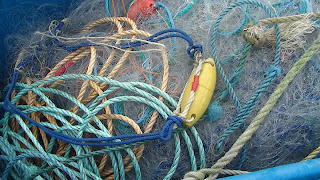 Through the Gaps! - Newlyn Fishing News: Acoustic pingers - what does ...
