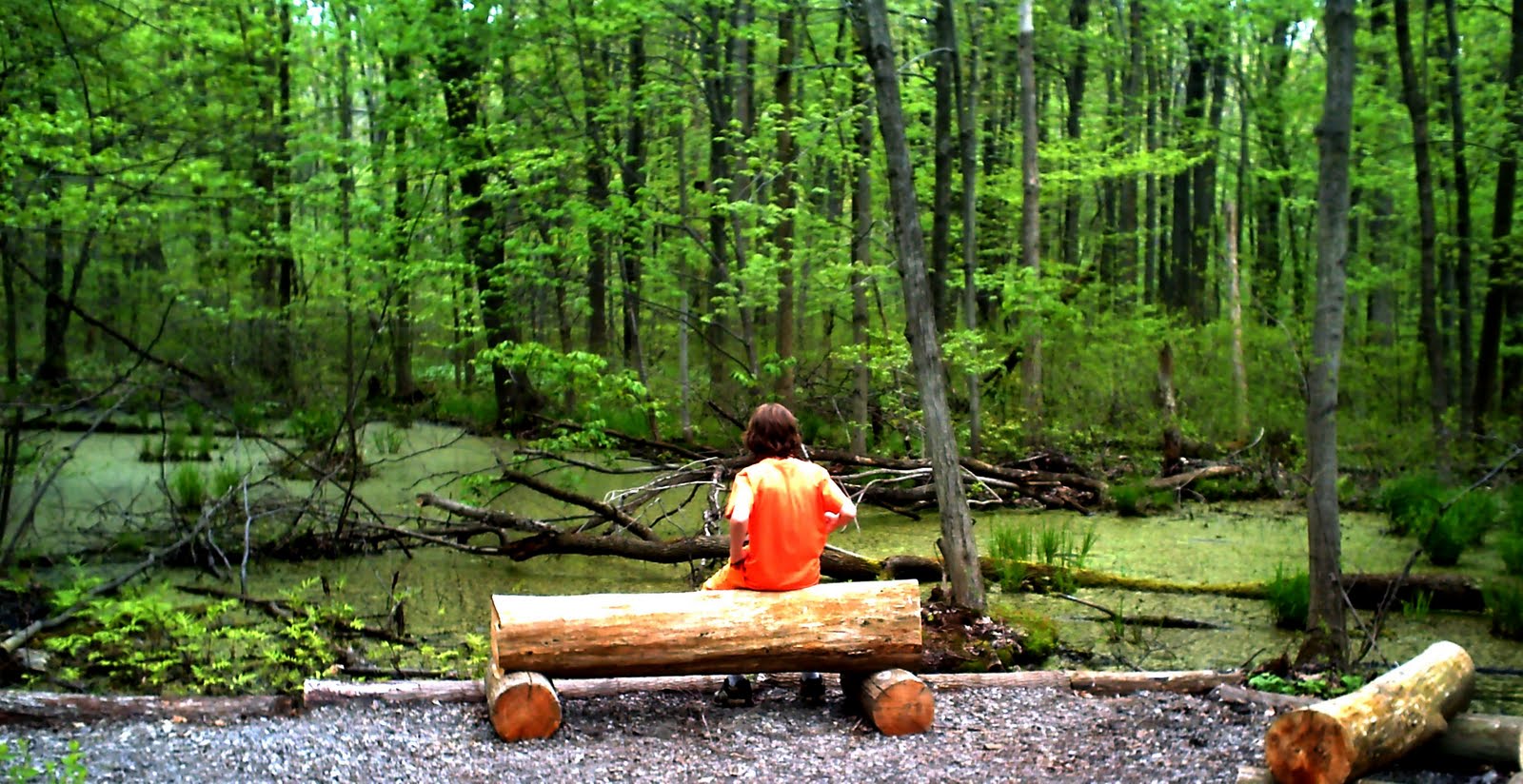 Mundanacity: Heartland Forest, Niagara Falls, Ontario