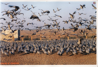 India Photo, India Pictures, India Images, Photos Of India, Photo India ...