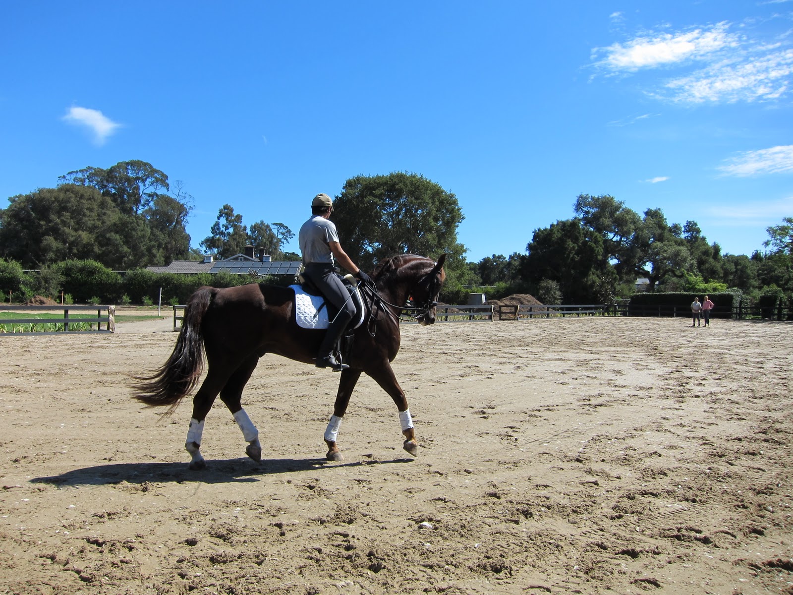 LUA: Equestrian Project | Hope Ranch Builder
