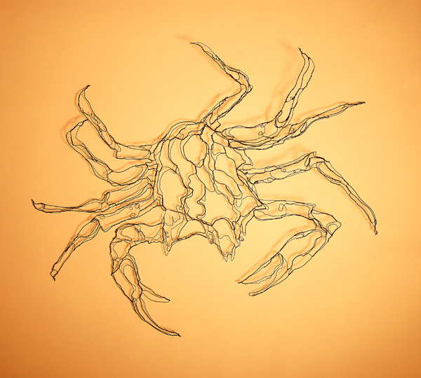 Animalarium: Sunday Safari - An Army of Claws