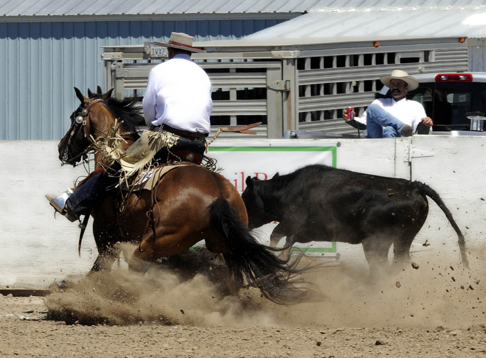 4Corners Ranch: Bruce Sandifer