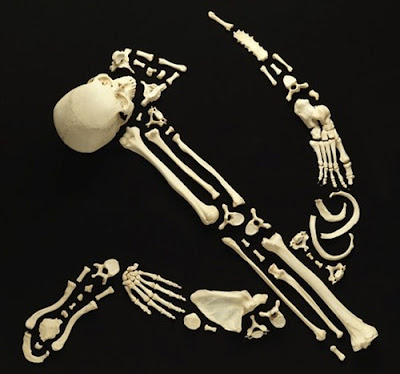Welcome to FunnyDust: Art of Human Bones - Unbelievable Art (12 Photos)