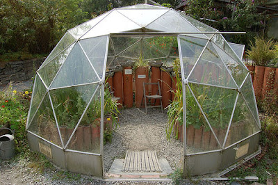 Green Harlow: Build Your Own Bio-Dome for $100