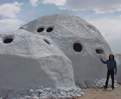Green Harlow: Build Your Own Bio-Dome for $100
