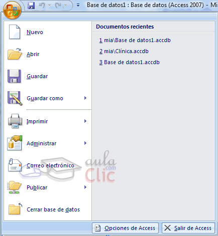 Microsoft Access 2007: ELEMENTOS BASICOS DE MICROSOFT ACCESS 2007 (II)