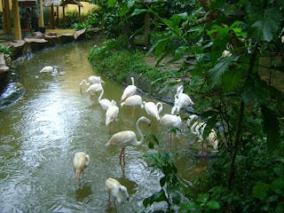 Rekod MTST: LAWATAN KE LANGKAWI 2008 (Tingkatan 1)