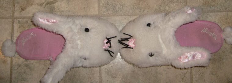 LiFe in BuNNy SliPPerS: 2013