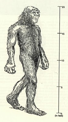 Phantoms and Monsters: Pulse of the Paranormal