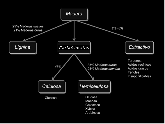 ESTRUCTURAS III: COMPOSICION QUIMICA DE LA MADERA