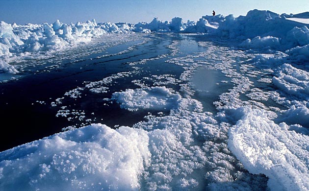 BIODIVERSITY: DIFFERENT TYPES OF BIODIVERSITY