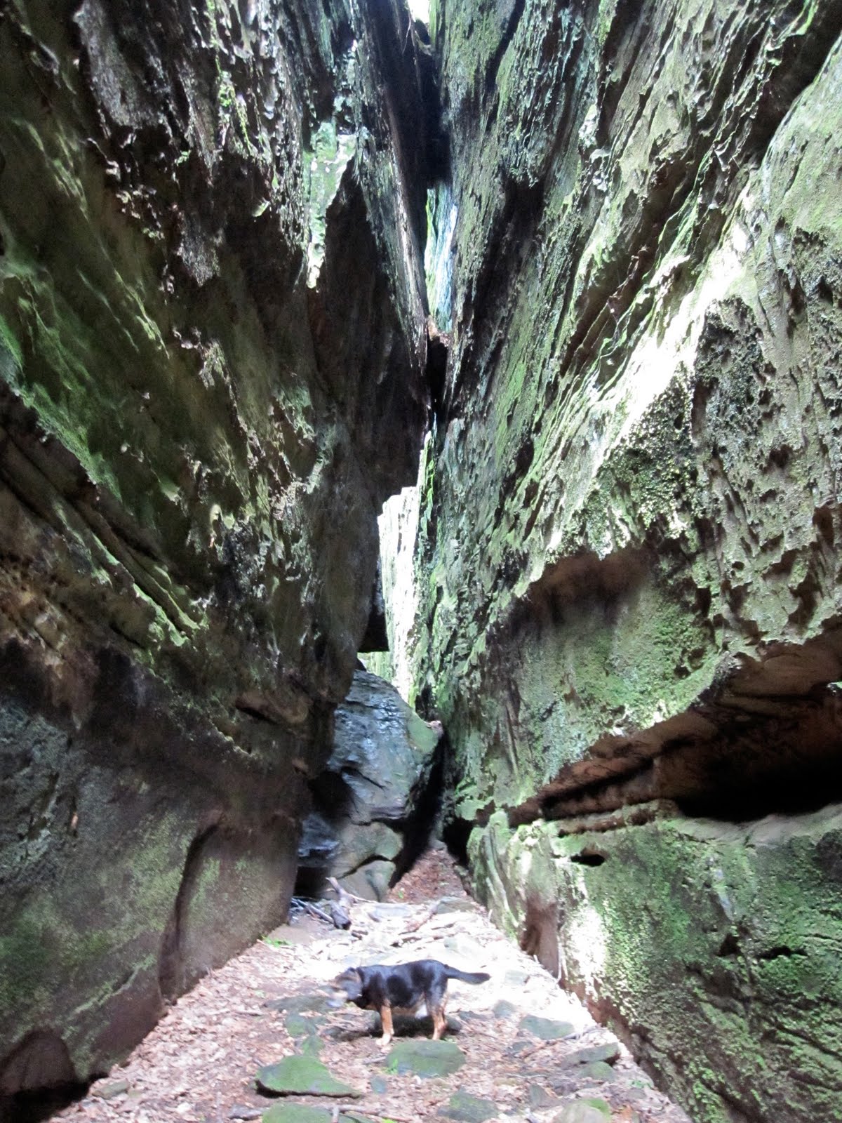 Trail Tester: Panther Den, a Southern Illinois Classic.