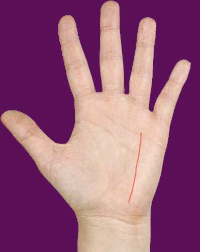 Palm Reading Made Simple