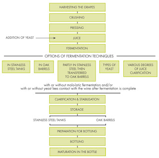 wines: wine production digram