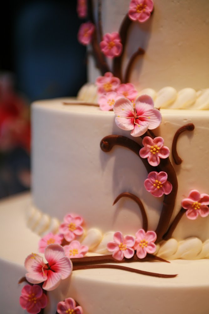 Sharon Wharton Photography