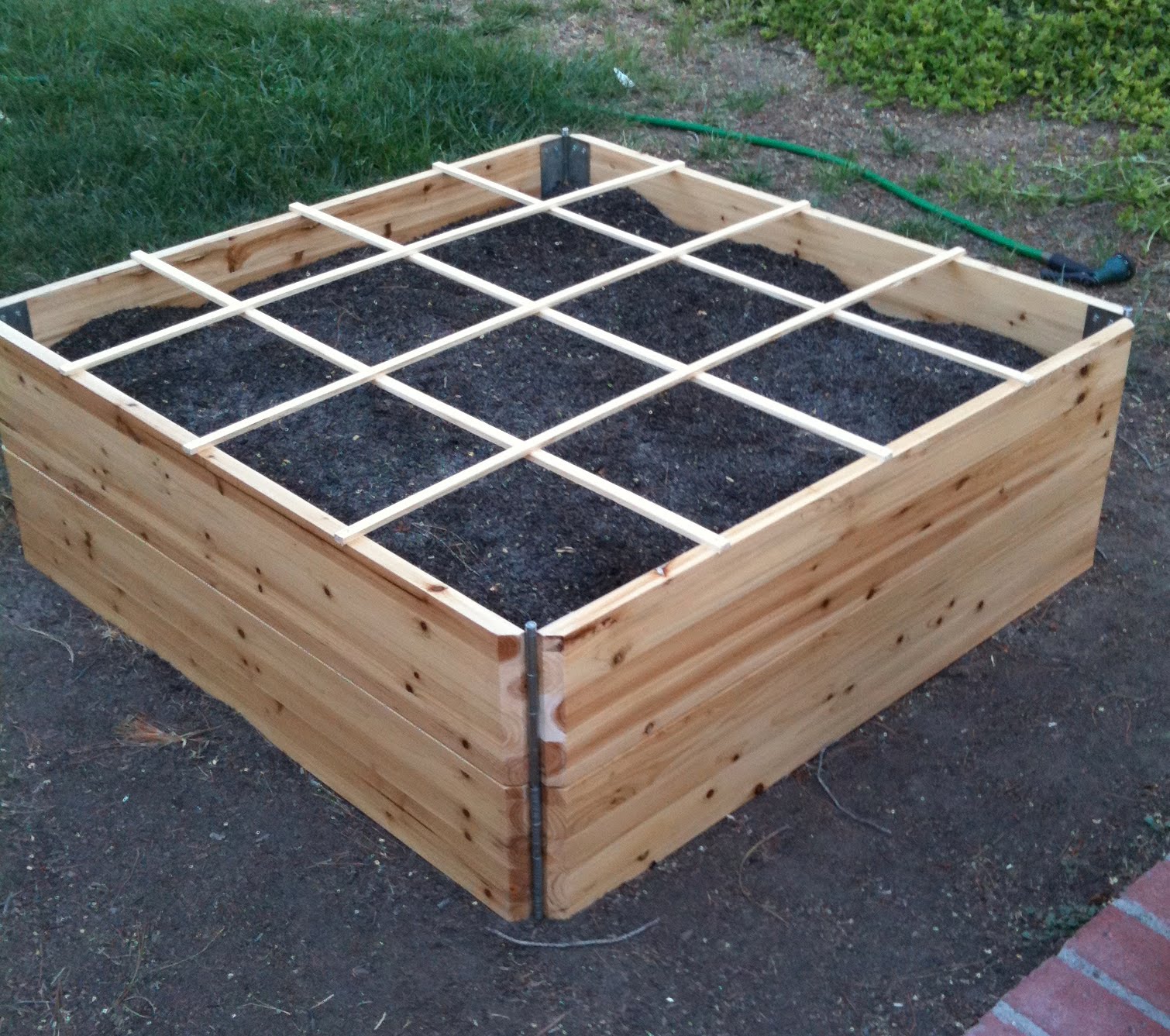 ZeedleBeez 16 Square Feet