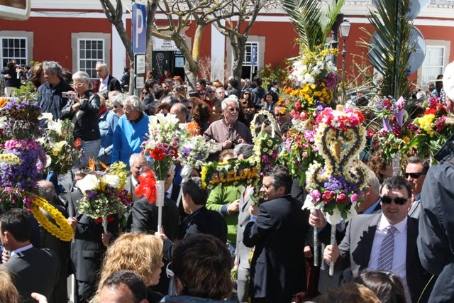 BATIDAS FOTOGRÁFICAS: 1km de flores cobre o chão de São Brás de ...