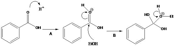 Mekanisme Reaksi Esterifikasi Dengan Katalis Asam - [DOCX Document]