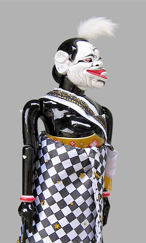 wayang ~ The Miracle of Indonesia