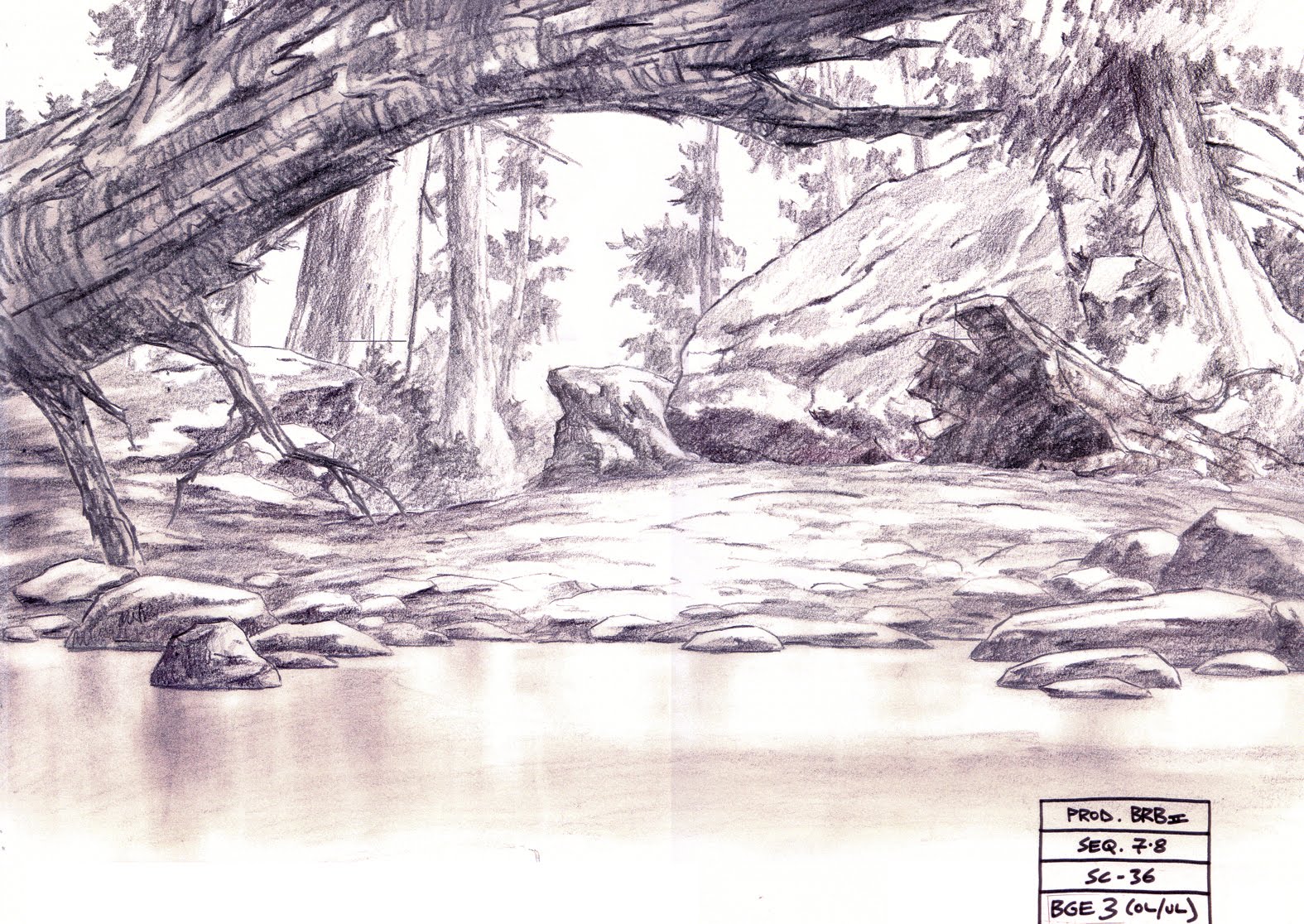 Andrew Wolf's Portfolio