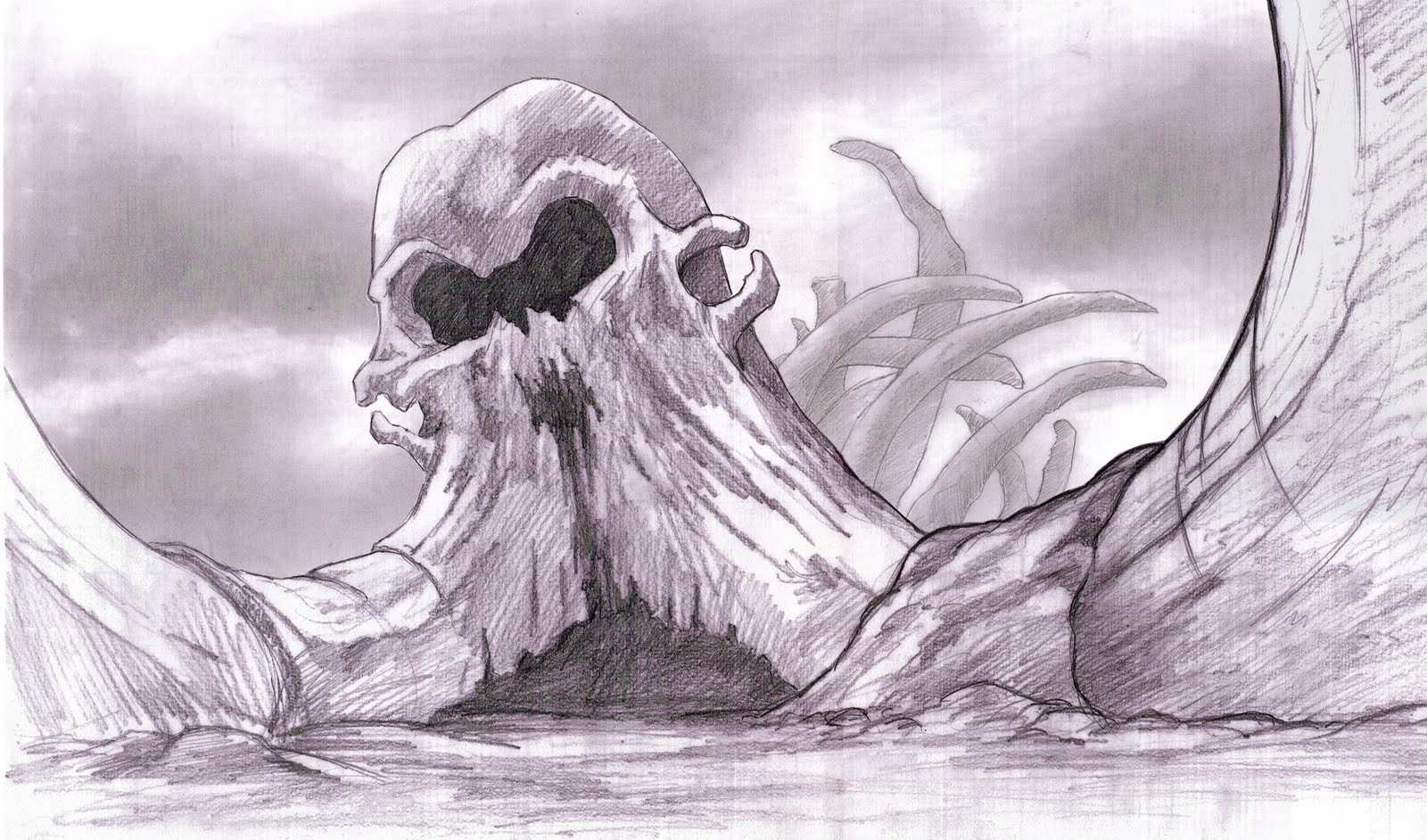 Andrew Wolf's Portfolio